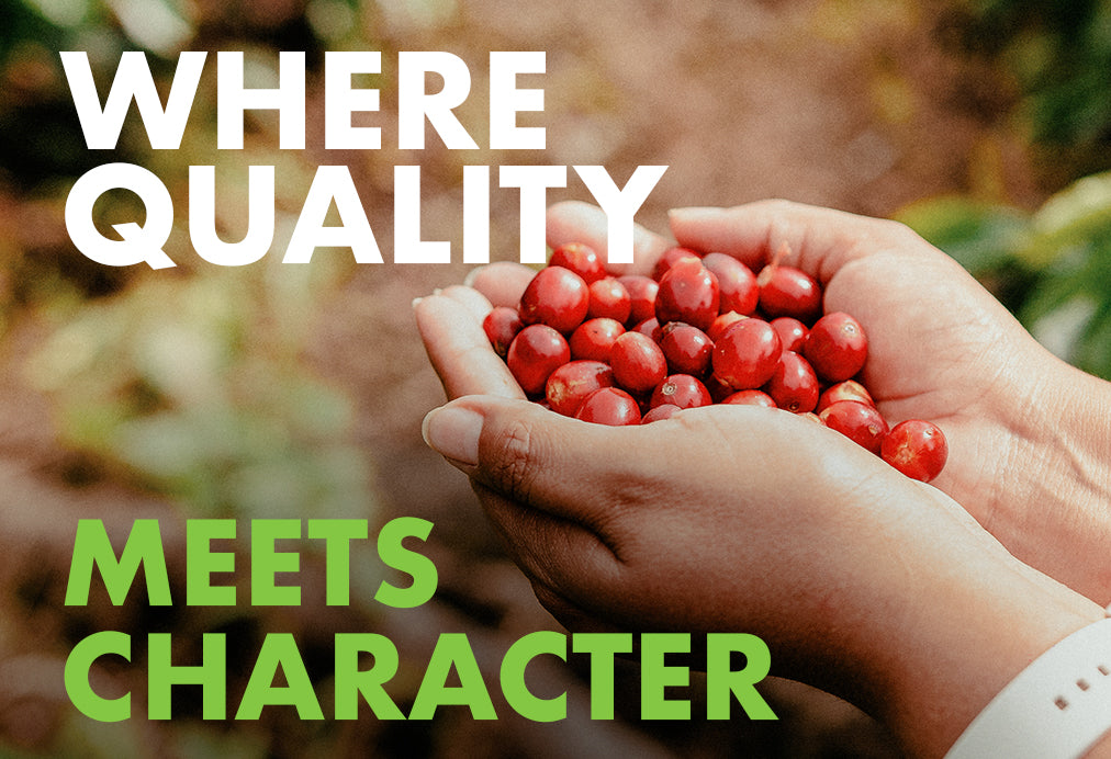 Peaberry Coffee: The Rare Bean Every Coffee Lover Should Know – Rumble ...